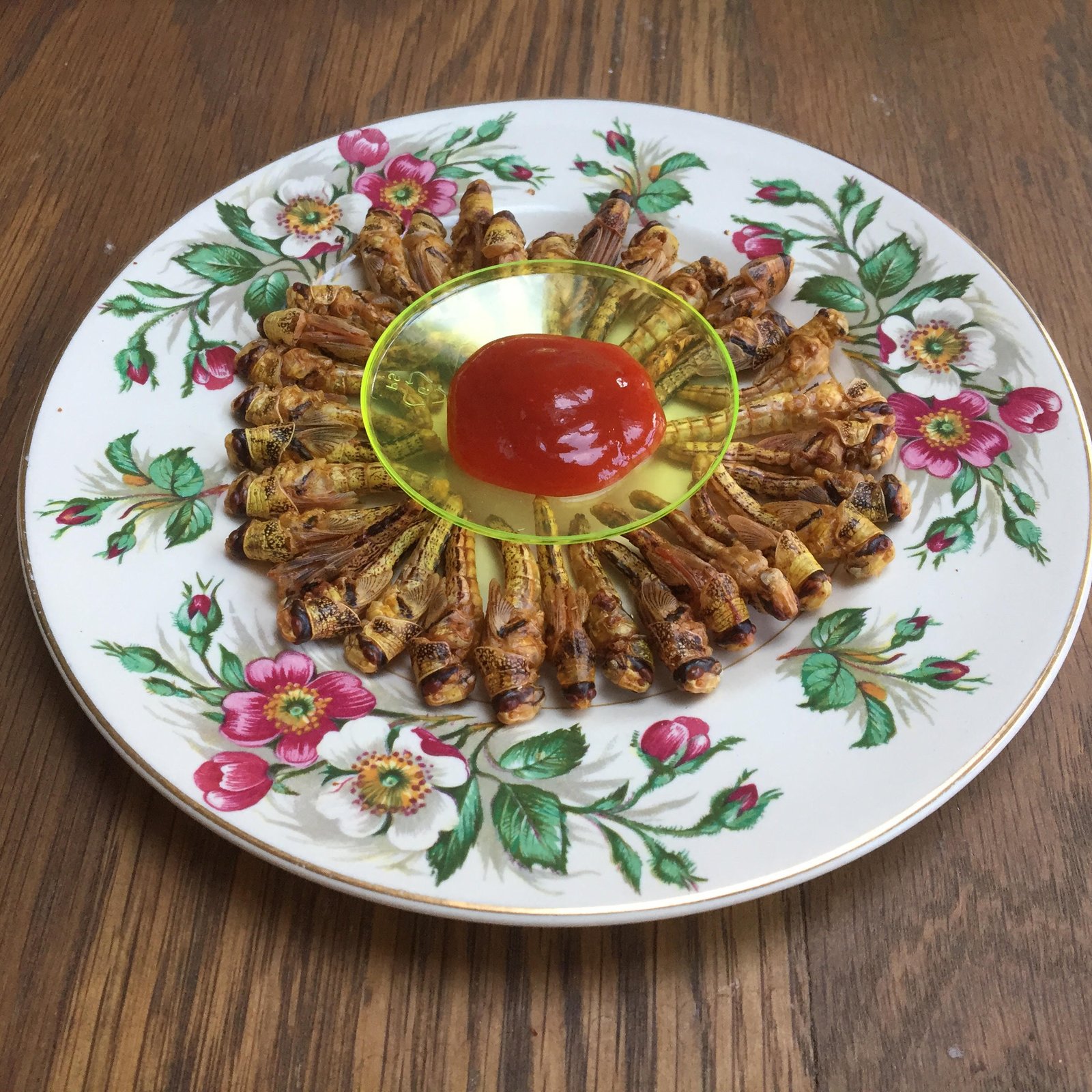 Edible bugs | Horizon Edible Insects London Urban Farm