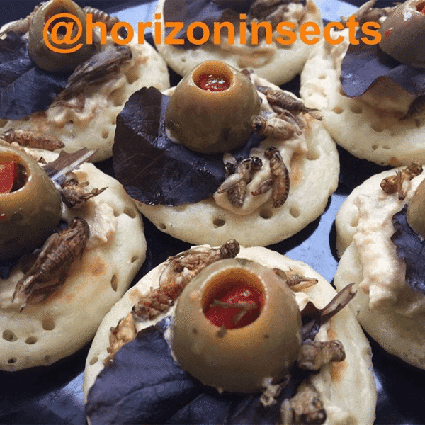 Edible insects canapés - Easy party food recipes