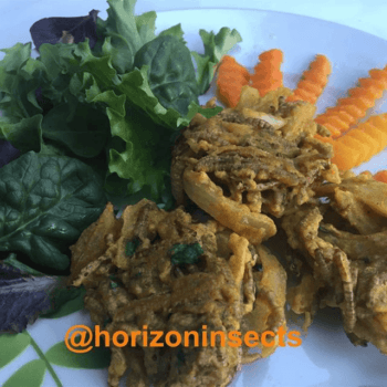 Edible mealworm recipe - Tasty curried mealworm fritters