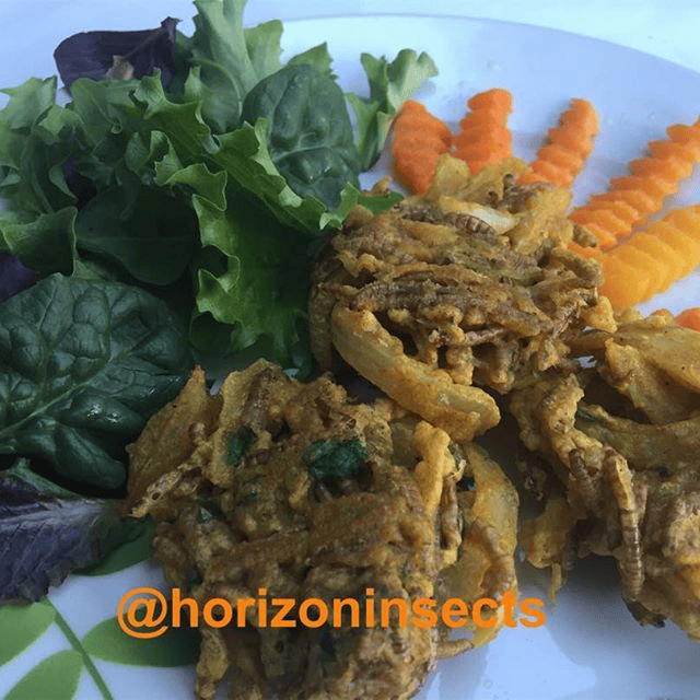 Edible mealworm fritters recipe - Crispy mealworm bites